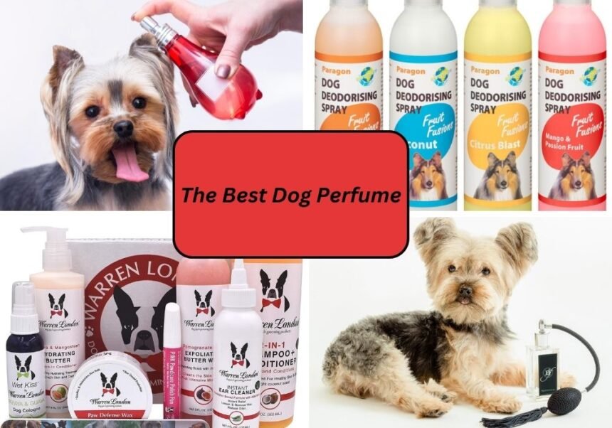 The Best Dog Perfume - GiftExo