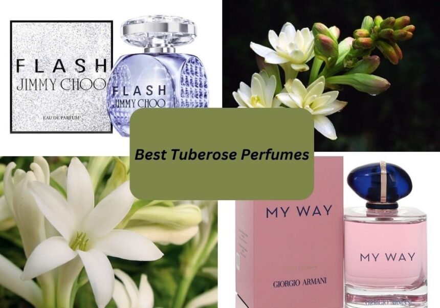 Best Tuberose Perfumes - GiftExo