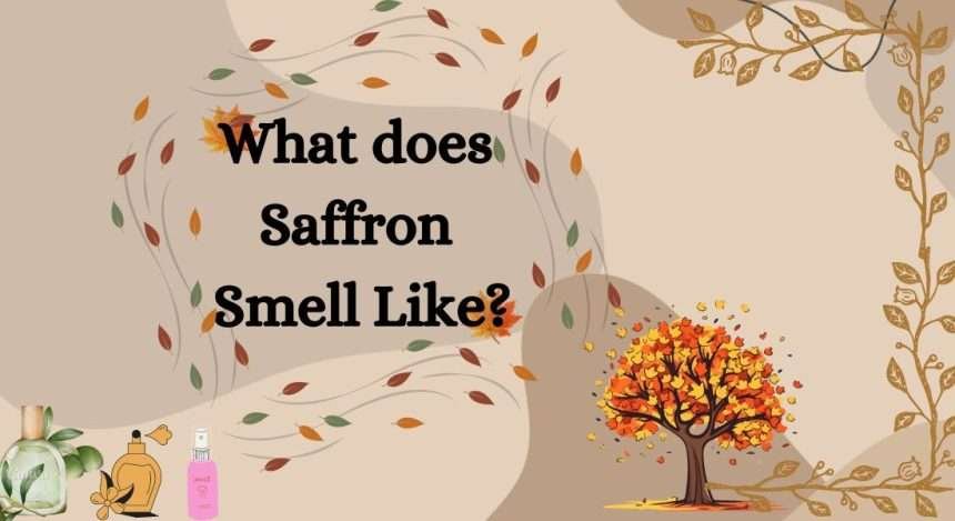 What does Saffron Smell Like(Must-Try Perfumes with Saffron)